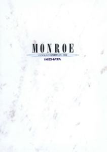 SMW工法 | 株式会社イケハタ